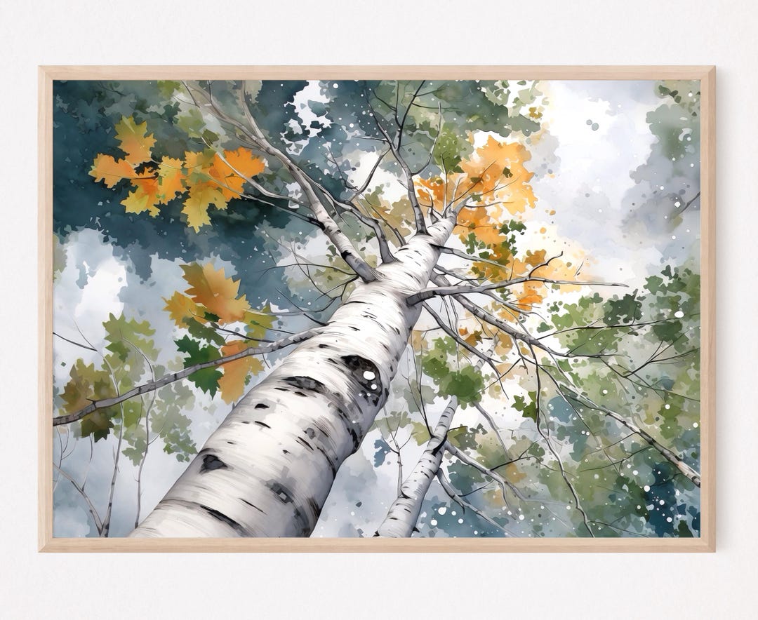 Aspen Tree Watercolor Wall Art Print – Colorado Nature Home Decor - Etsy