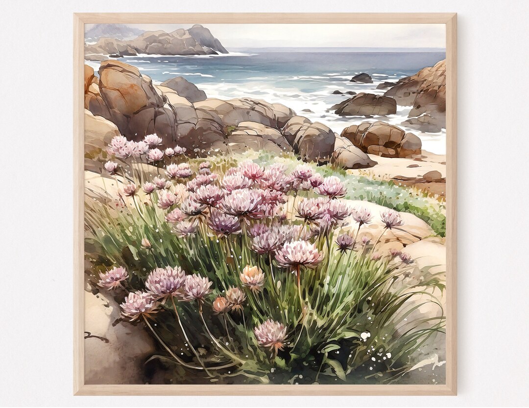 Sea Thrift on St Abbs Head Cliffs, Scotland Painting, Square Coastal ...
