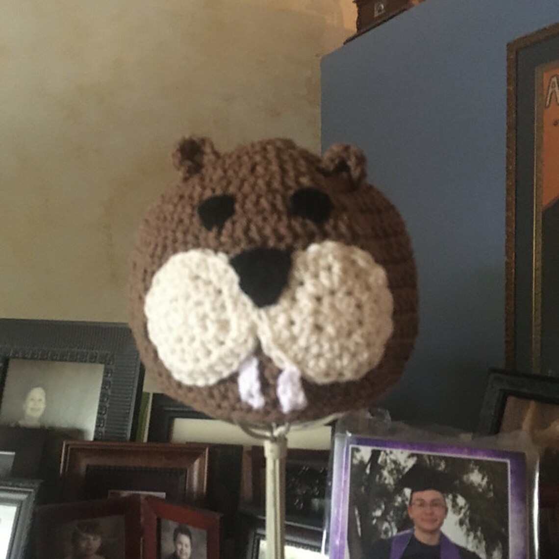 Happy Ground Hog Day Adorable Crochet Groundhog Woodchuck - Etsy