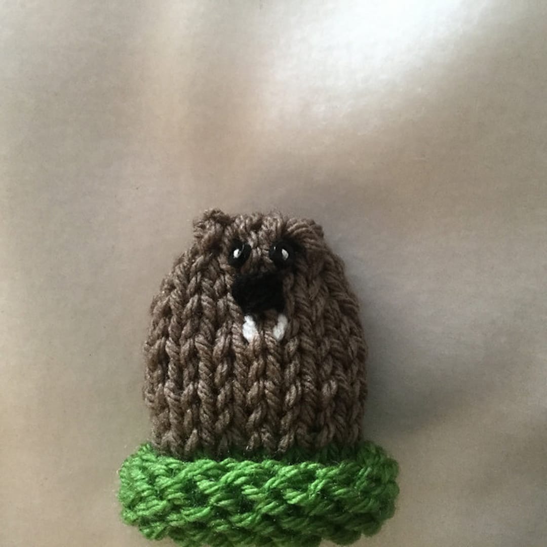 Knit Finger Puppet - Happy Groundhogs Day - Cute Ground Hog Woodchuck ...