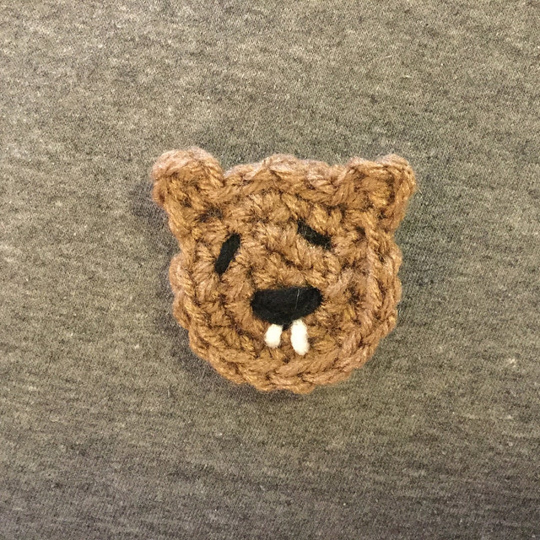 Tiny Groundhog Day Pin - Etsy