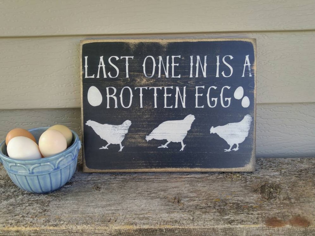 Funny Chicken Sign, Chicken Decor, Chicken Coop Sign, Last One in is a ...
