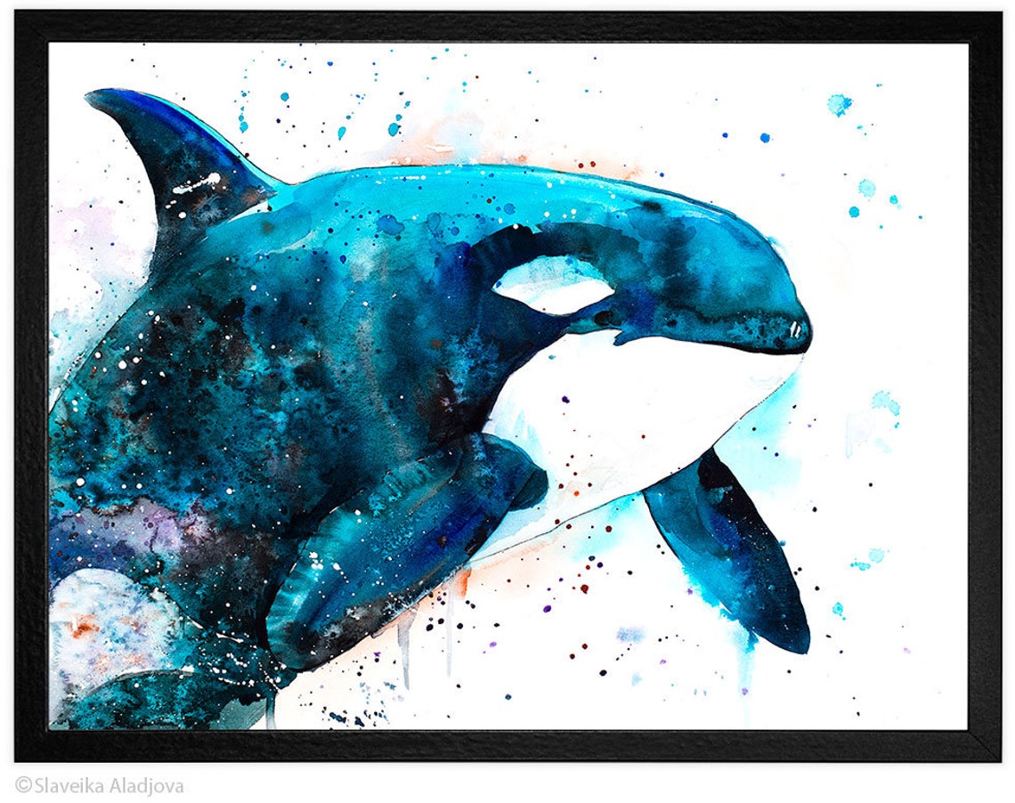 Orca Watercolor Painting Print by Slaveika Aladjova Art - Etsy UK