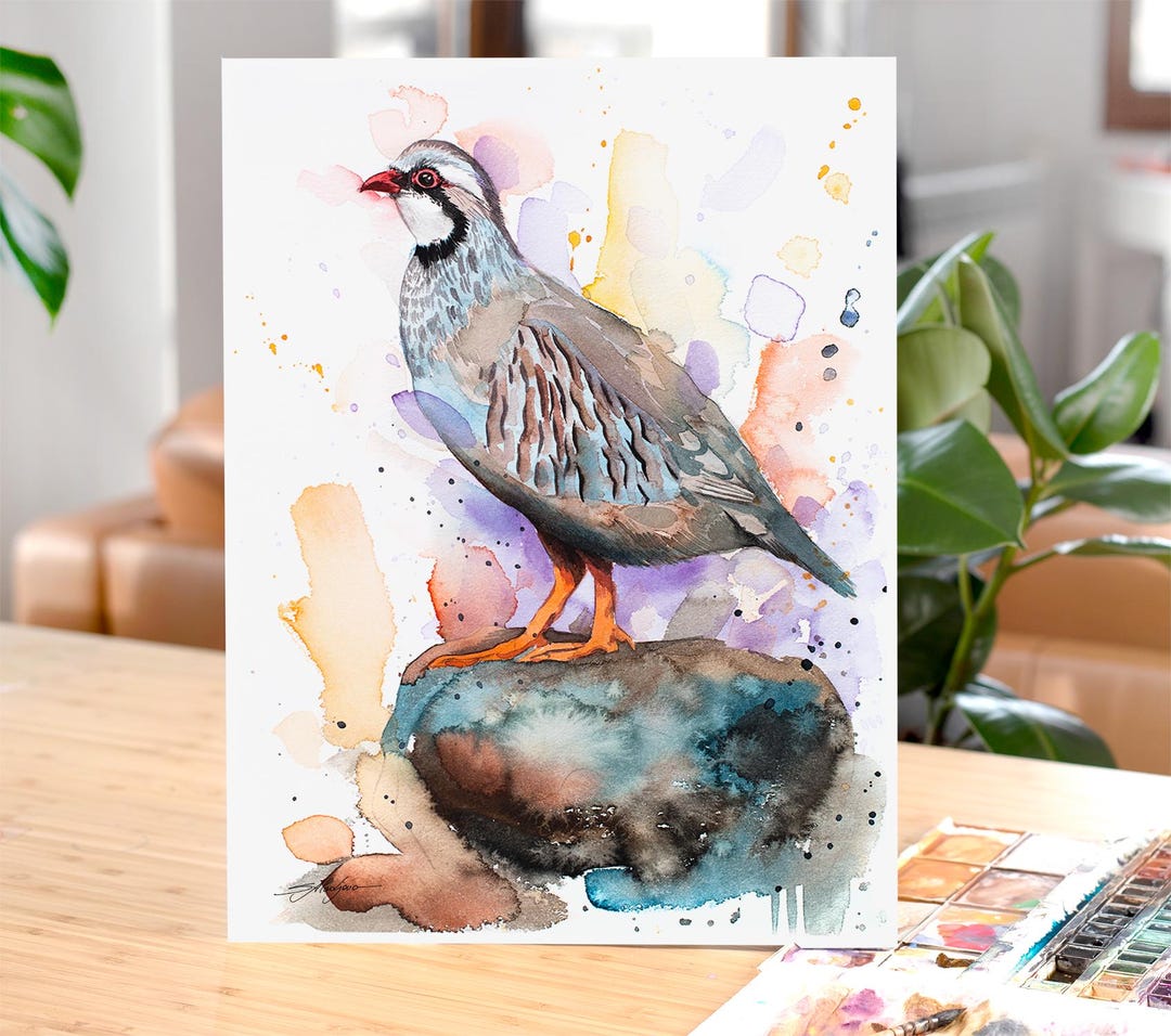 Red-legged Partridge Watercolor Painting Print by Slaveika Aladjova,art ...