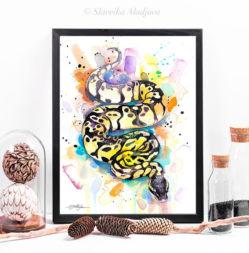 Pastel Ball Python Snake Watercolor Framed Canvas by Slaveika - Etsy
