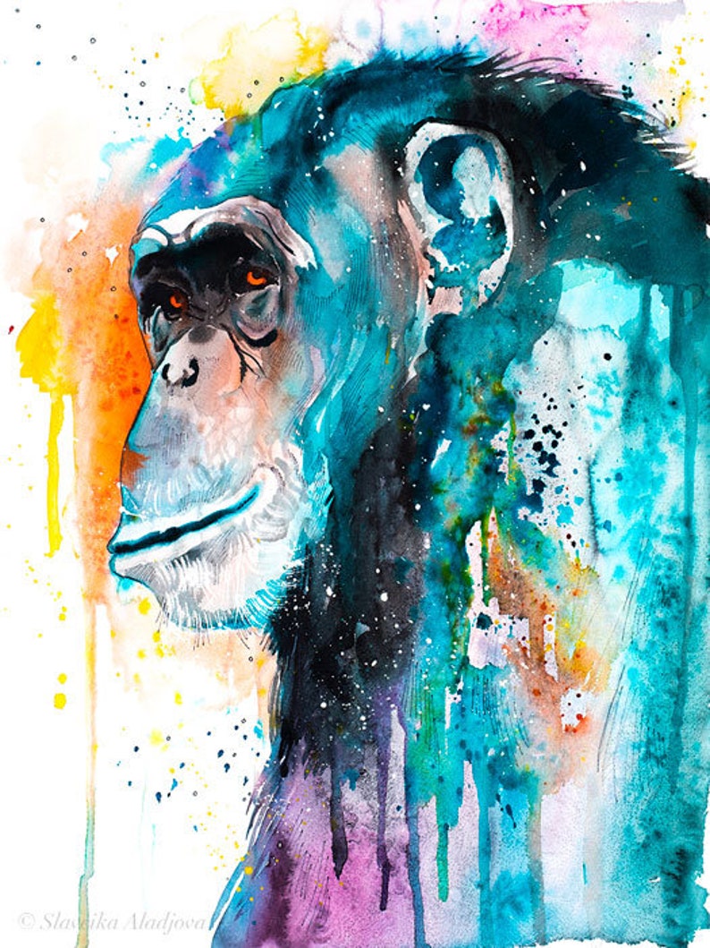 Colorful Chimp Chimpanzee Watercolor Painting Print by - Etsy Australia