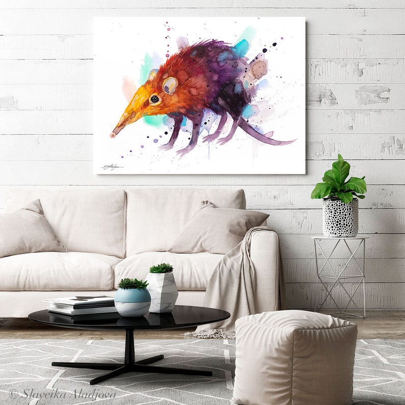 Golden-rumped Elephant Shrew Limited Edition Watercolor Art Print by ...