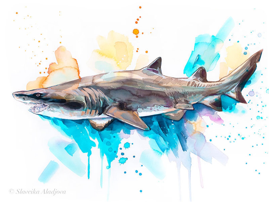 Sand Tiger Shark Watercolor Painting Print by Slaveika - Etsy
