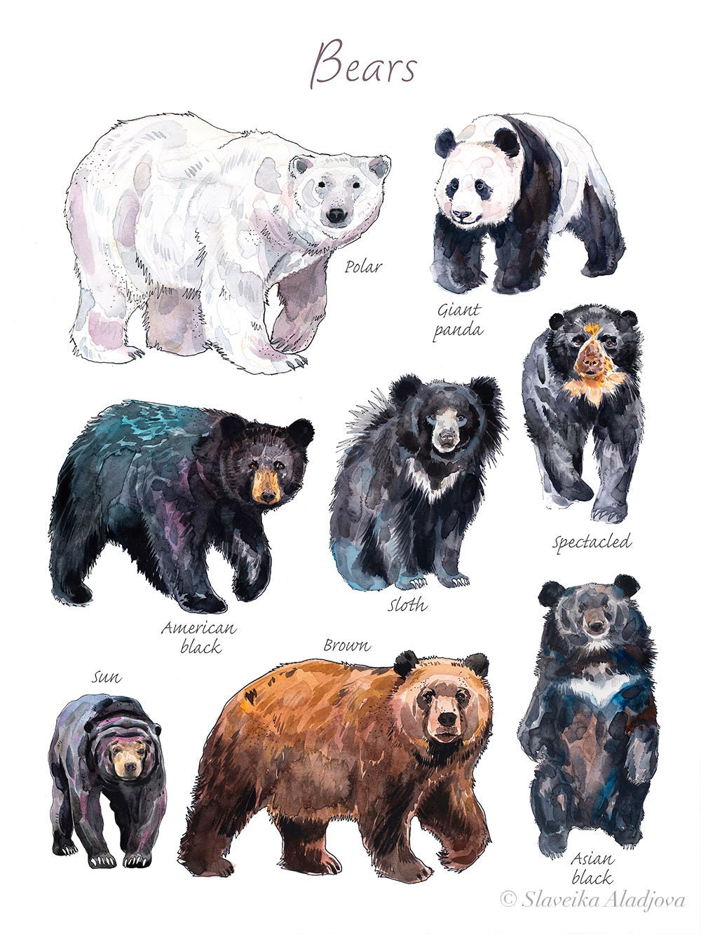 Bears chart watercolor painting print by Slaveika Aladjova | Etsy