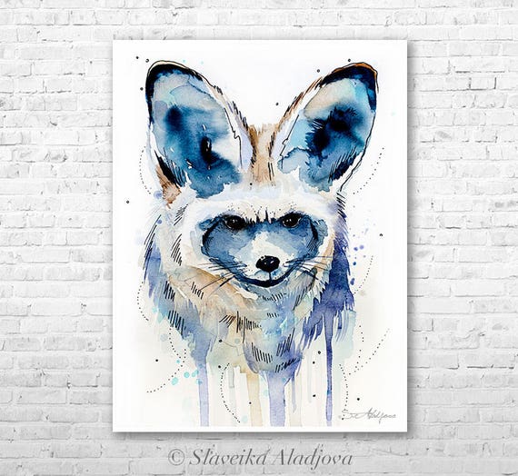 Bat Eared Fox Drawing