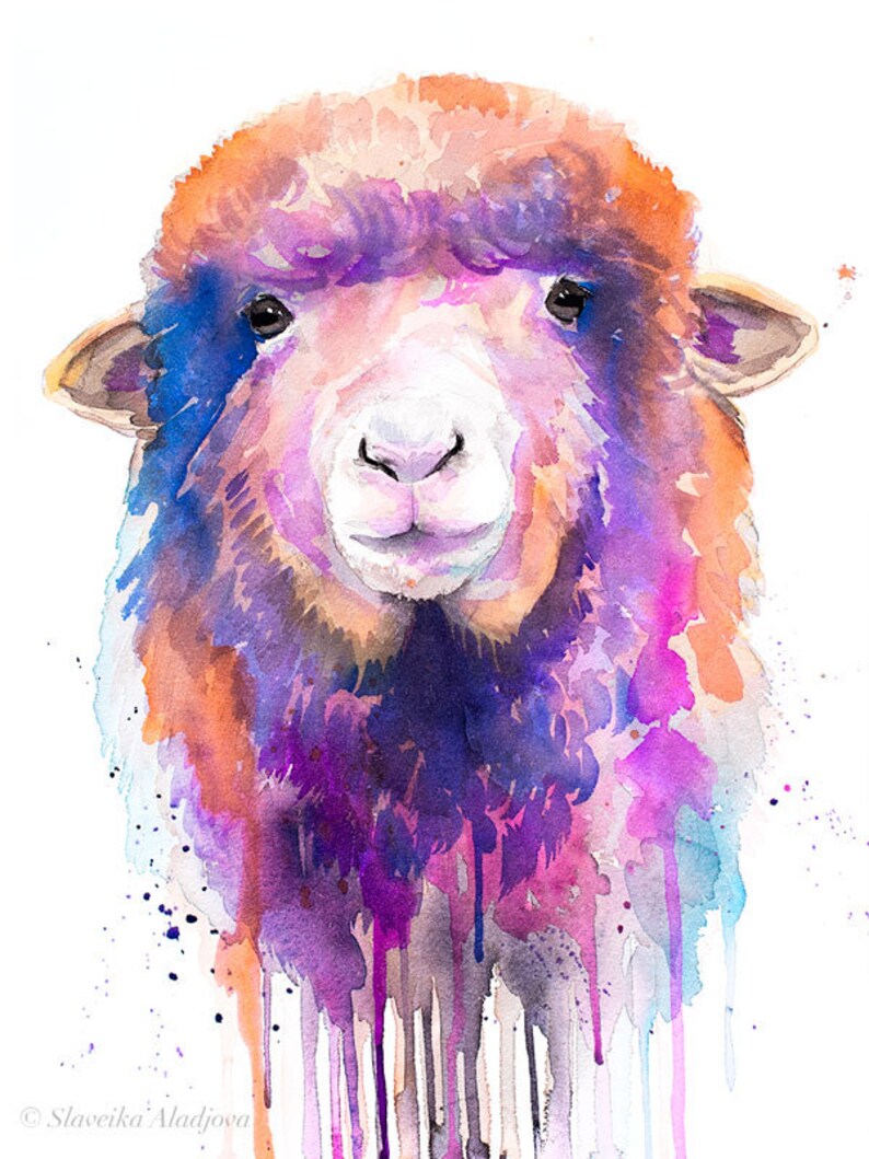 Colorful Sheep Watercolor Painting Print by Slaveika Aladjova | Etsy