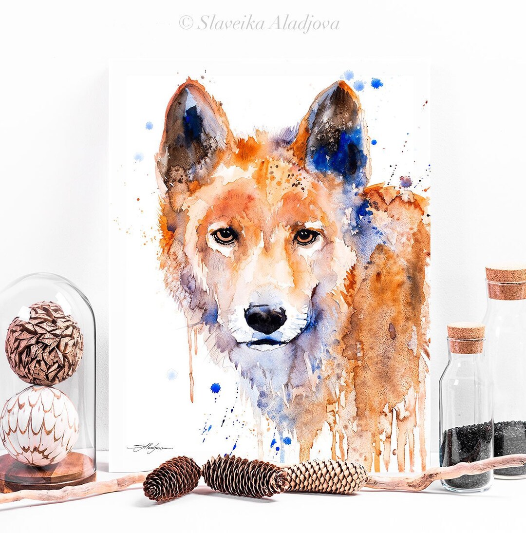 Dingo Watercolor Painting Print by Slaveika Aladjova, Art, Animal ...