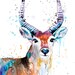 Red Lechwe Watercolor Painting Print by Slaveika Aladjova - Etsy