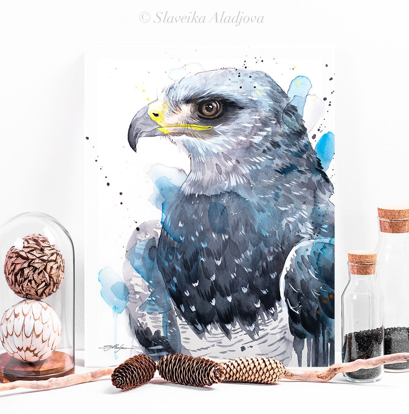 Black-chested Buzzard-eagle Watercolor Painting Print by - Etsy