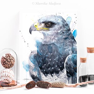 Black-chested Buzzard-eagle Watercolor Painting Print by Slaveika ...