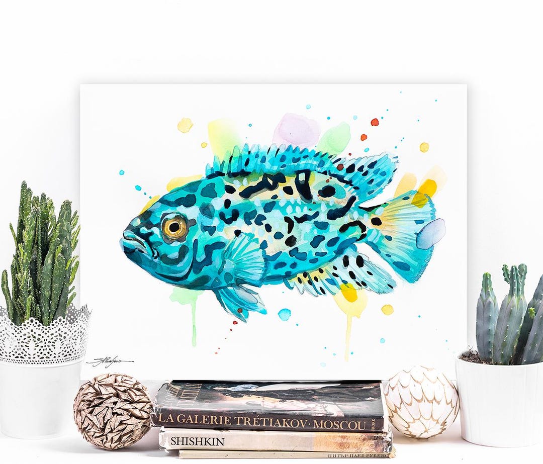 Electric Blue Jack Dempsey Cichlid Watercolor Painting Print by ...