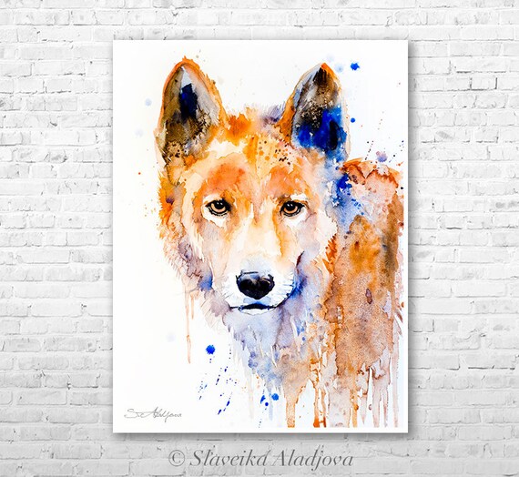 Dingo watercolor painting print by Slaveika Aladjova art