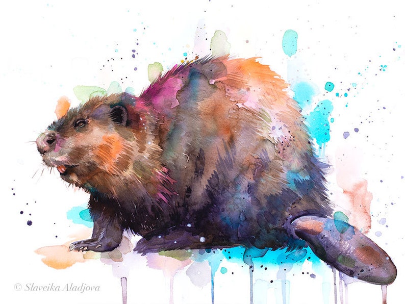 Beaver Watercolor Painting Print by Slaveika Aladjova Art - Etsy Ireland