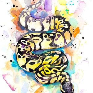 Pastel Ball Python Snake Watercolor Painting Print by Slaveika - Etsy