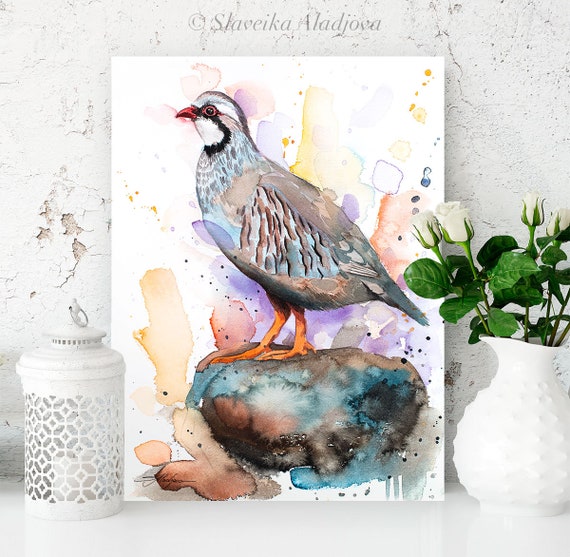 Red-legged Partridge Watercolor Painting Print by Slaveika | Etsy UK