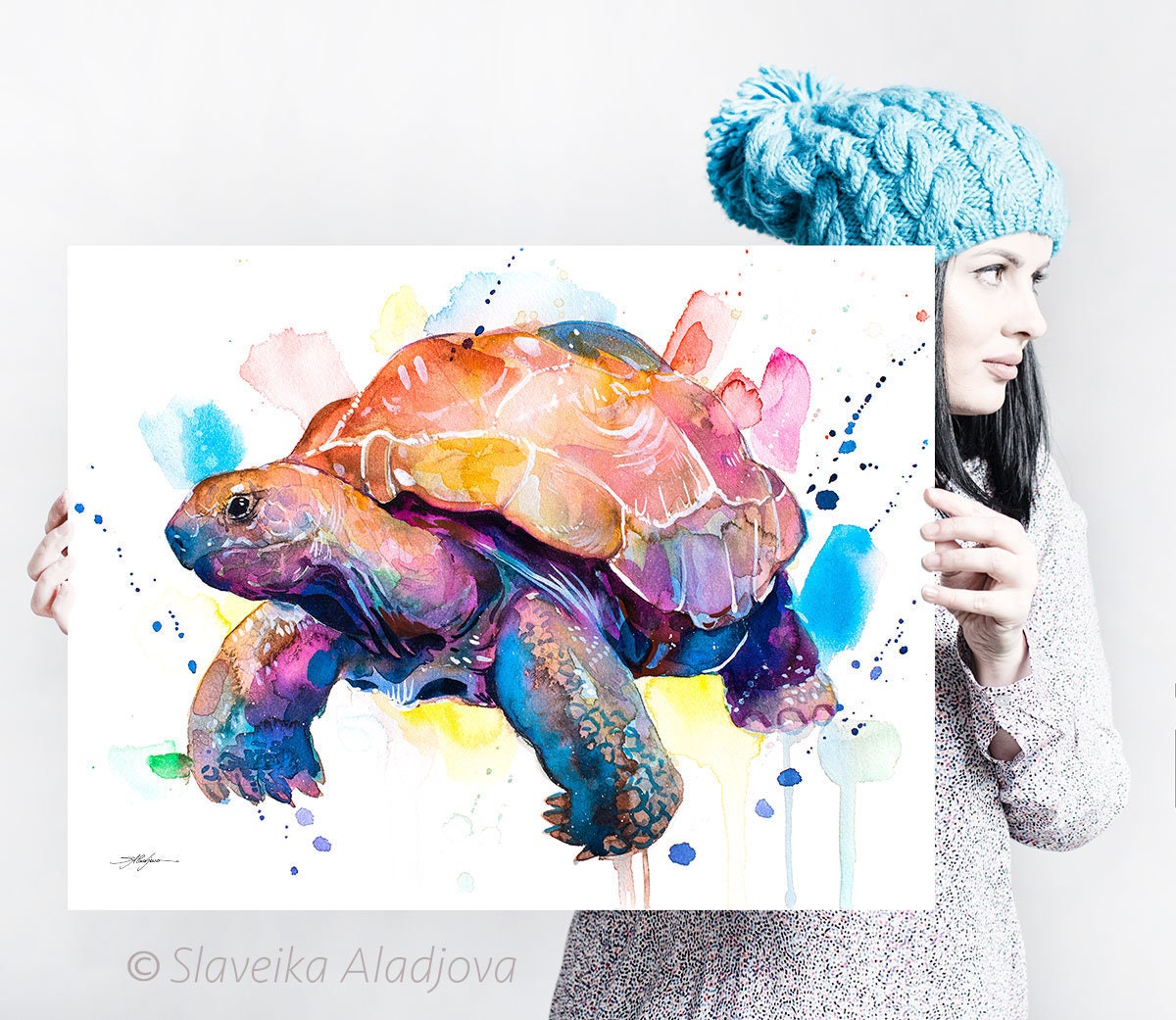 Giant Tortoise Drawing