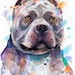 American Bully Dog Limited Edition Watercolor Art Print by Slaveika ...