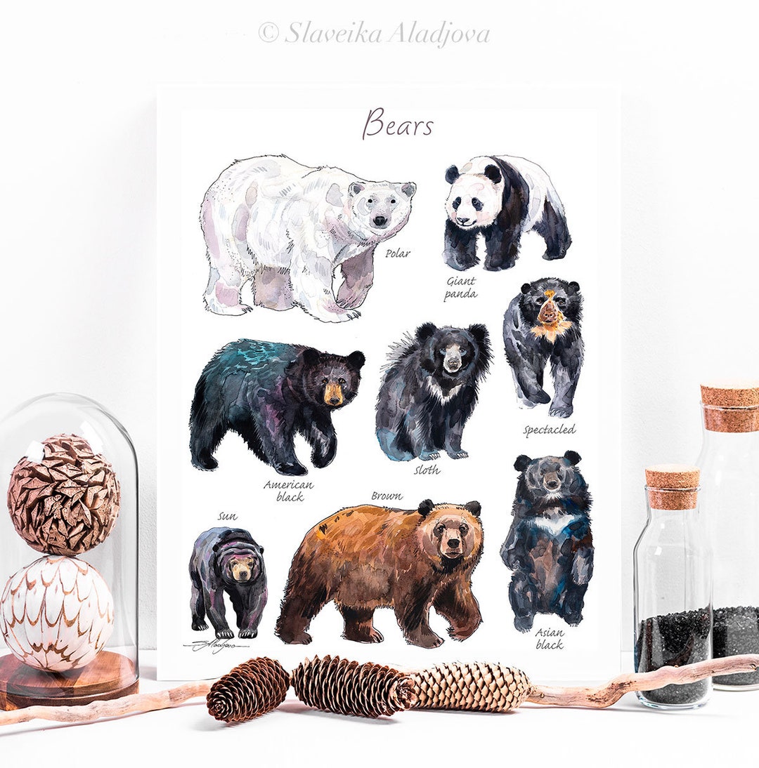 Bears Chart Watercolor Painting Print by Slaveika Aladjova, Animal ...