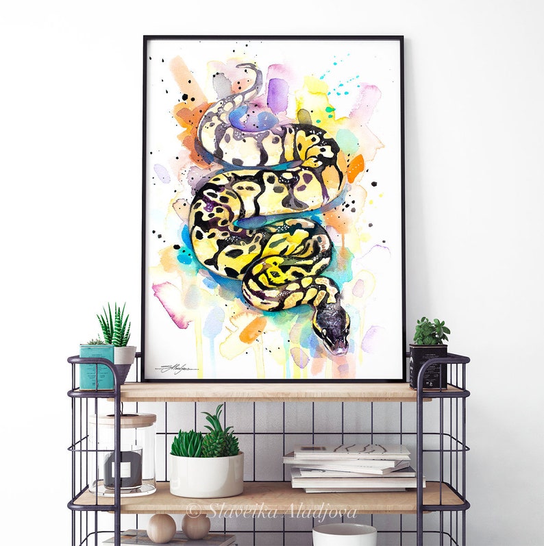 Pastel Ball Python Snake Watercolor Framed Canvas by Slaveika - Etsy