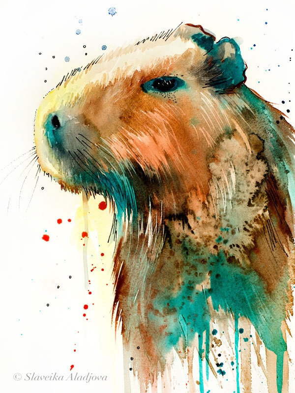Capybara Watercolor Painting Print by Slaveika Aladjova, Art, Animal ...