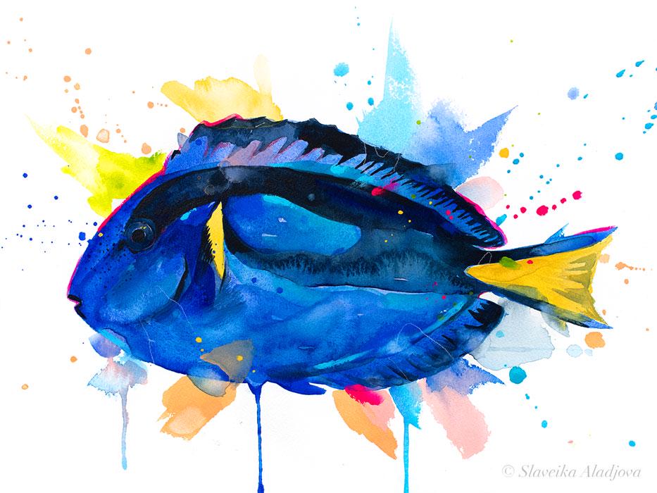 Blue Tang Fish Limited Edition Watercolor Art Print by Slaveika ...