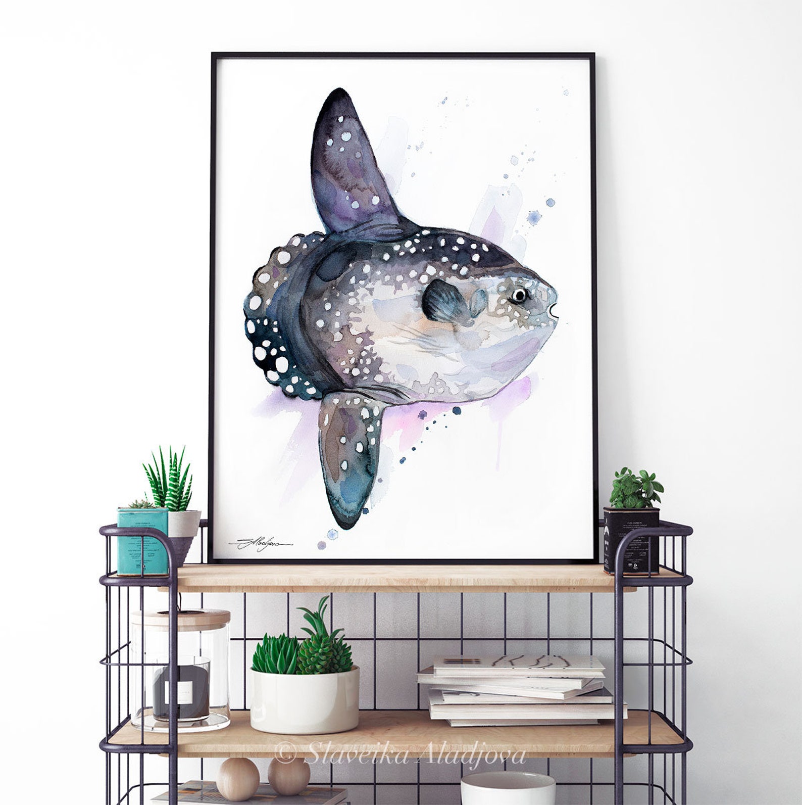 Sunfish Mola Mola Ocean Sunfish Watercolor Painting Print by - Etsy