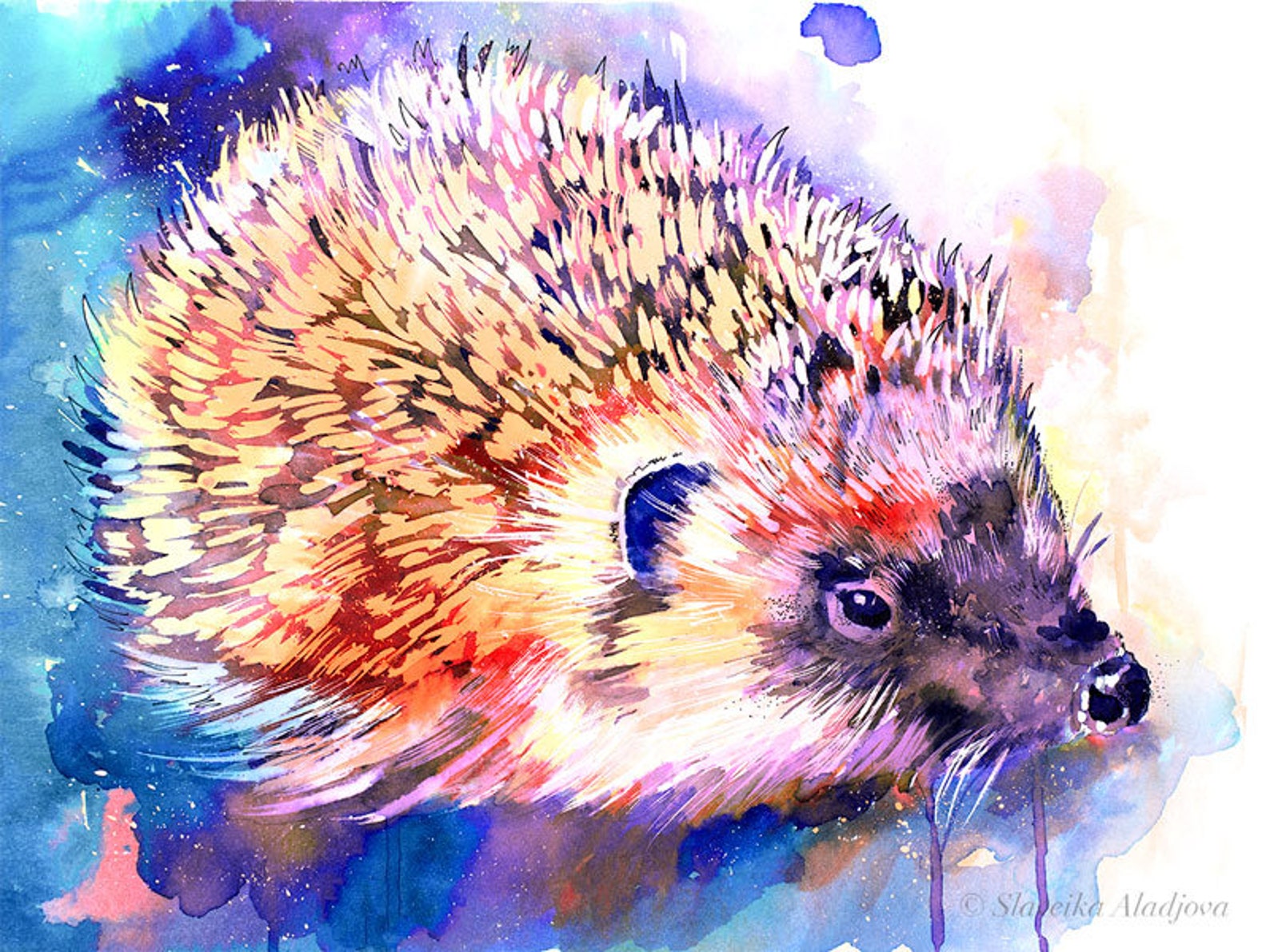 Hedgehog Watercolor Painting Print by Slaveika Aladjova, Art, Animal ...