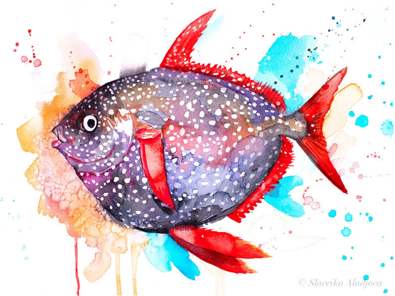Opah Moonfish Sunfish Limited Edition Watercolor Art Print by Slaveika ...