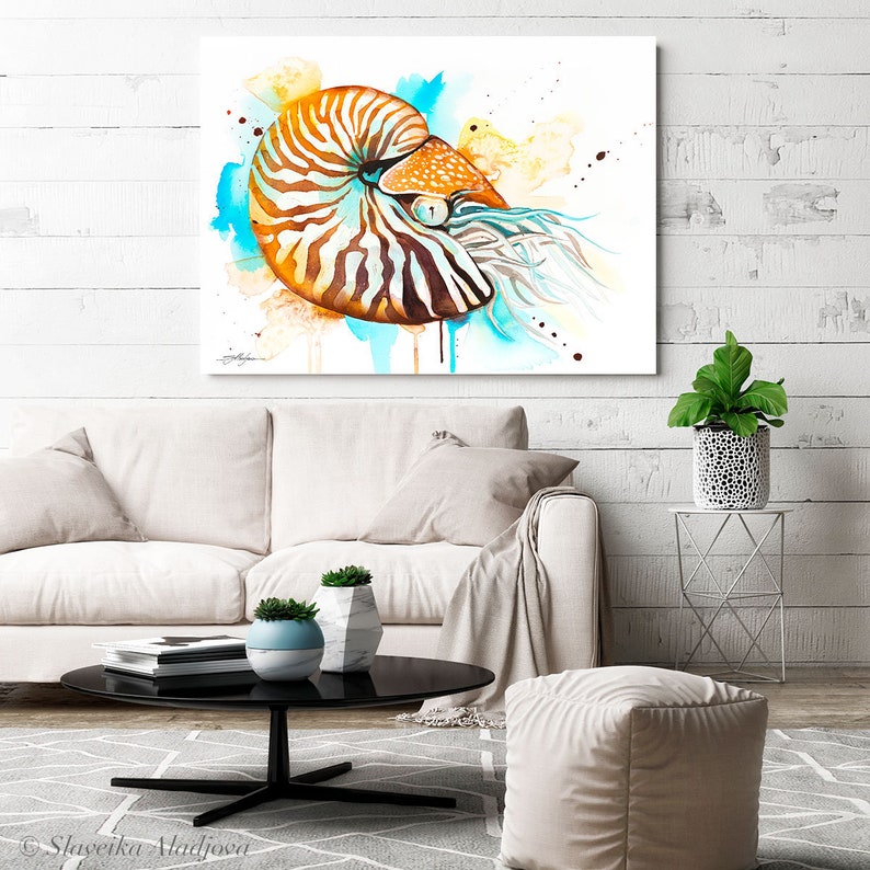 Chambered Nautilus Limited Edition Watercolor Art Print by Slaveika ...