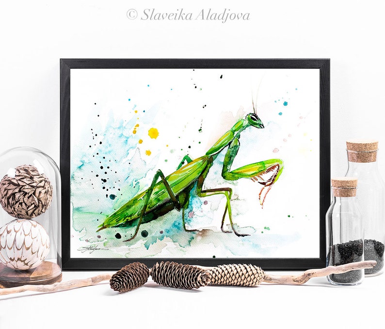 Mantis Watercolor Painting Print by Slaveika Aladjova, Art, Animal ...