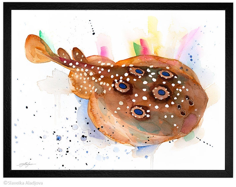 Common Torpedo Ray Eyed Electric Ray Watercolor Painting - Etsy