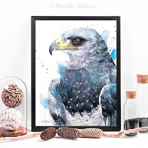 Black-chested Buzzard-eagle Watercolor Painting Print by Slaveika ...