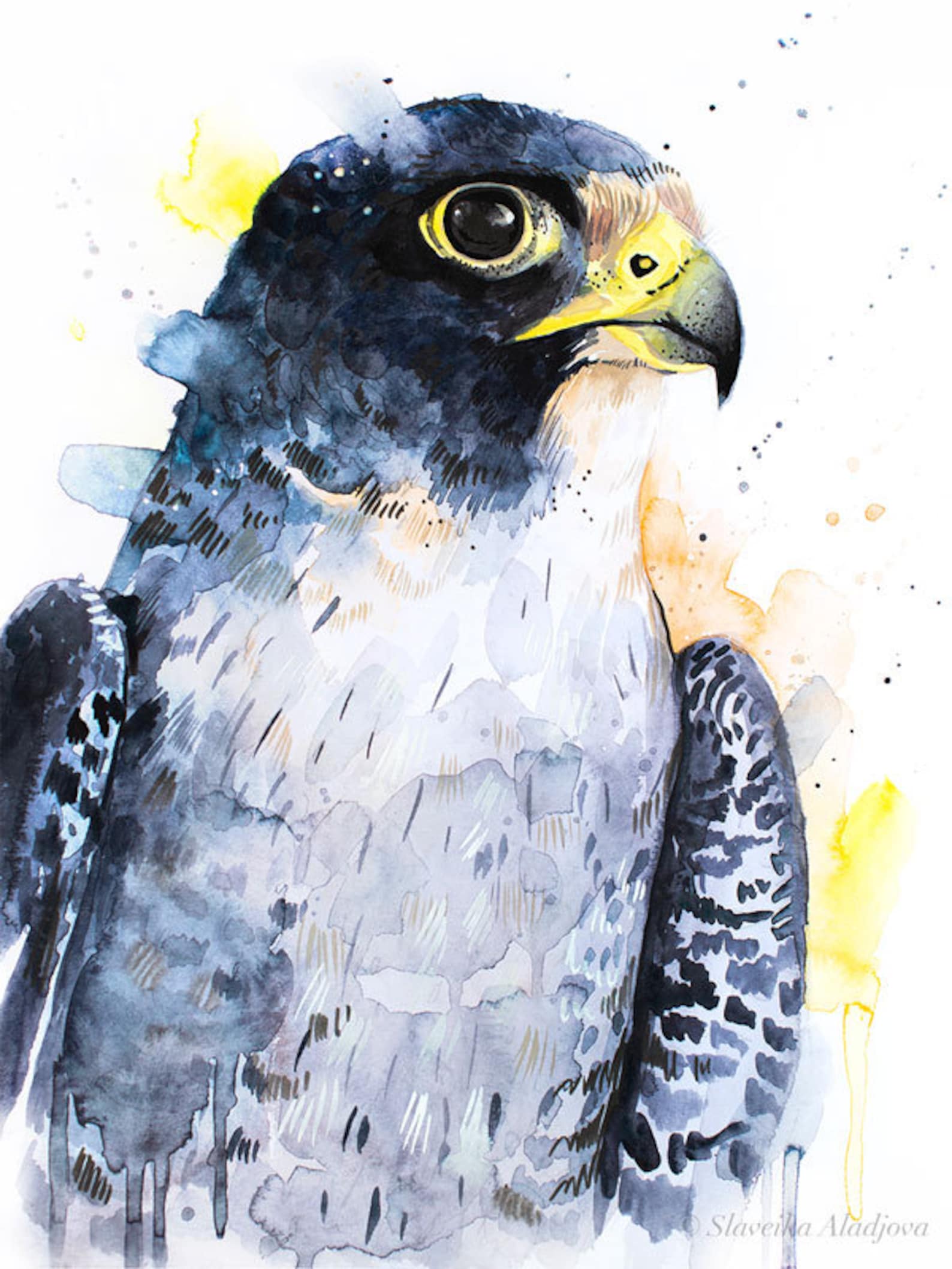 Peregrine Falcon Watercolor Painting Print by Slaveika | Etsy