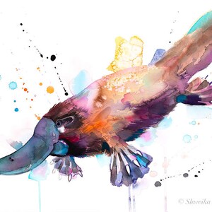 Platypus Watercolor Painting Print by Slaveika Aladjova, Animal ...