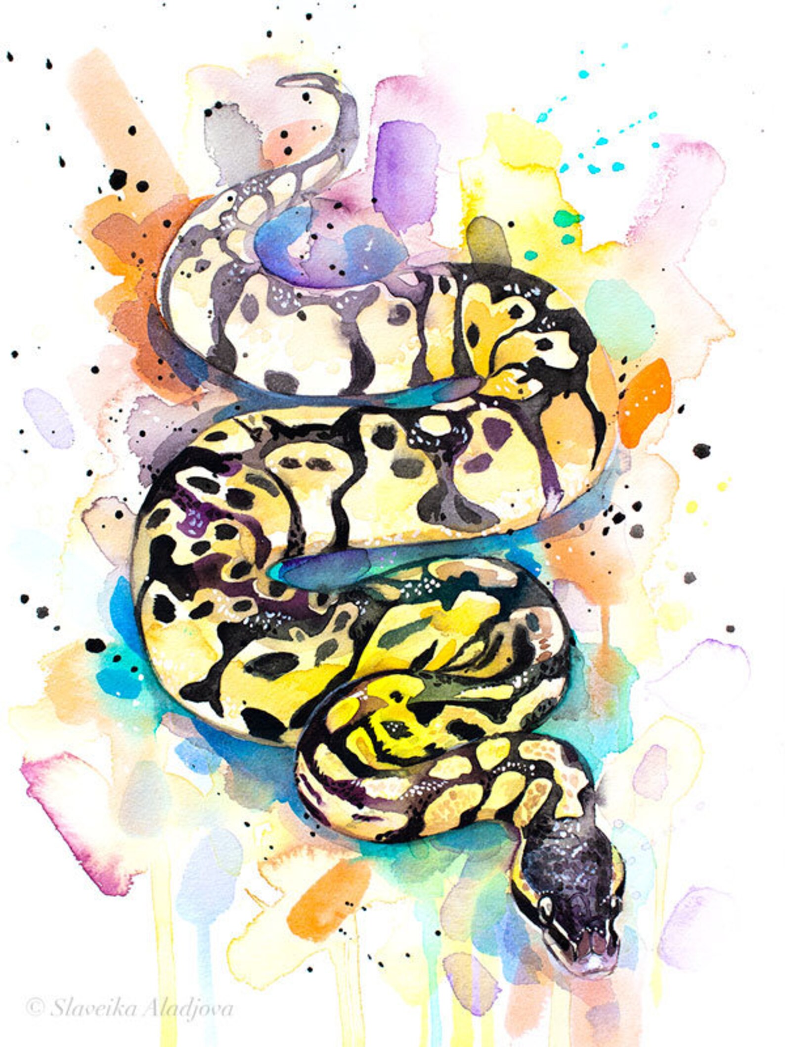 Pastel Ball Python Snake Watercolor Framed Canvas by Slaveika - Etsy