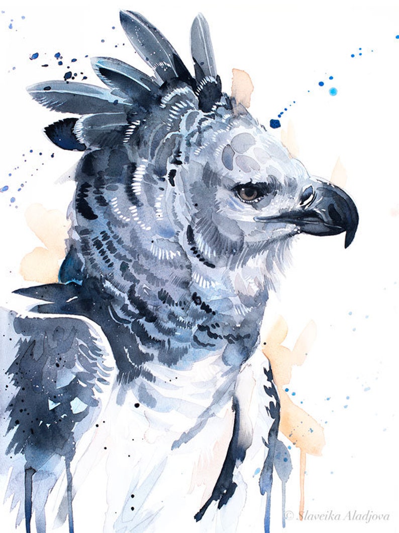 Harpy Eagle Watercolor Painting Print by Slaveika Aladjova - Etsy Canada