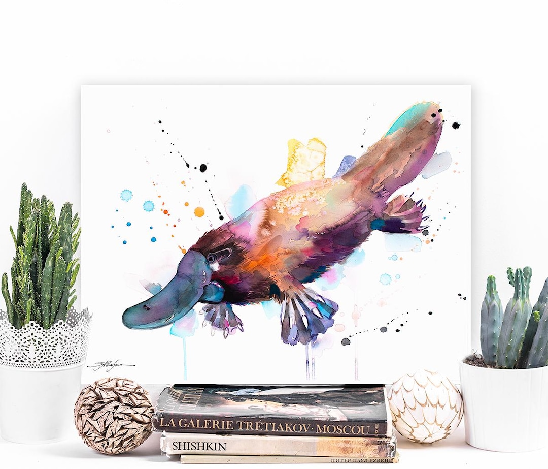 Platypus Watercolor Painting Print by Slaveika Aladjova, Animal ...