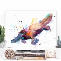 Australian Animals Birthday Bulletin Board Kit | Editable Australian ...