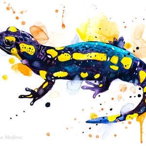 Fire Salamander Watercolor Painting Print by Slaveika Aladjova, Animal ...