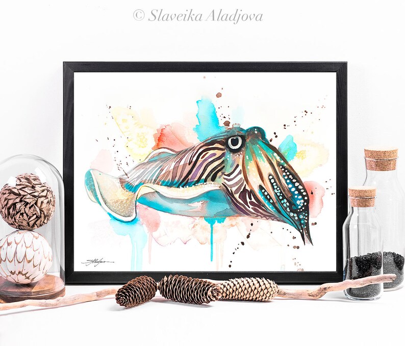 Common Cuttlefish Watercolor Painting Print by Slaveika - Etsy