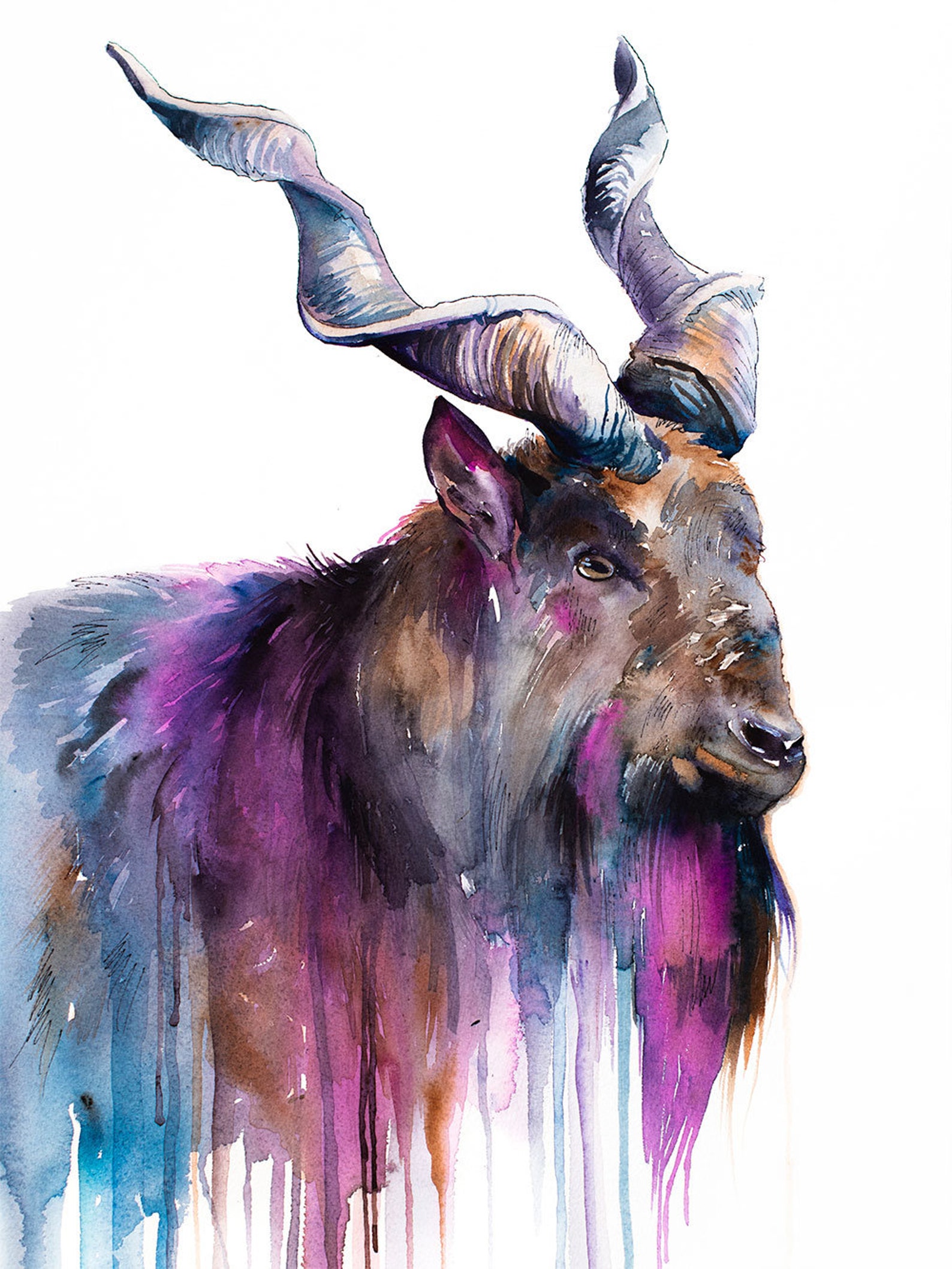 Goat Watercolor Painting Print by Slaveika Aladjova Art - Etsy