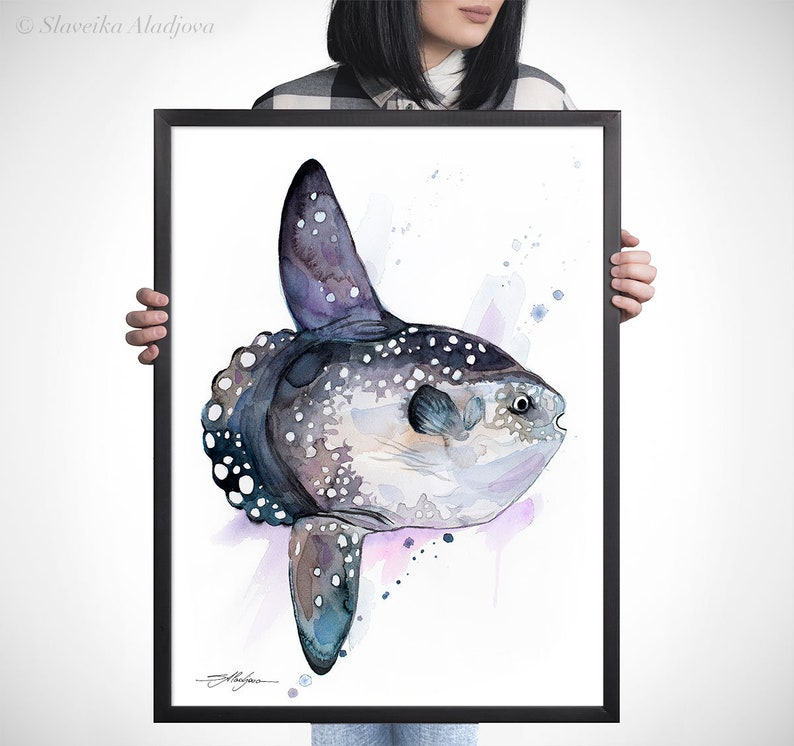 Sunfish Mola Mola Ocean Sunfish Watercolor Painting Print by - Etsy