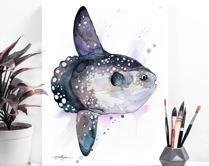 Sunfishes of North America Poster - Etsy