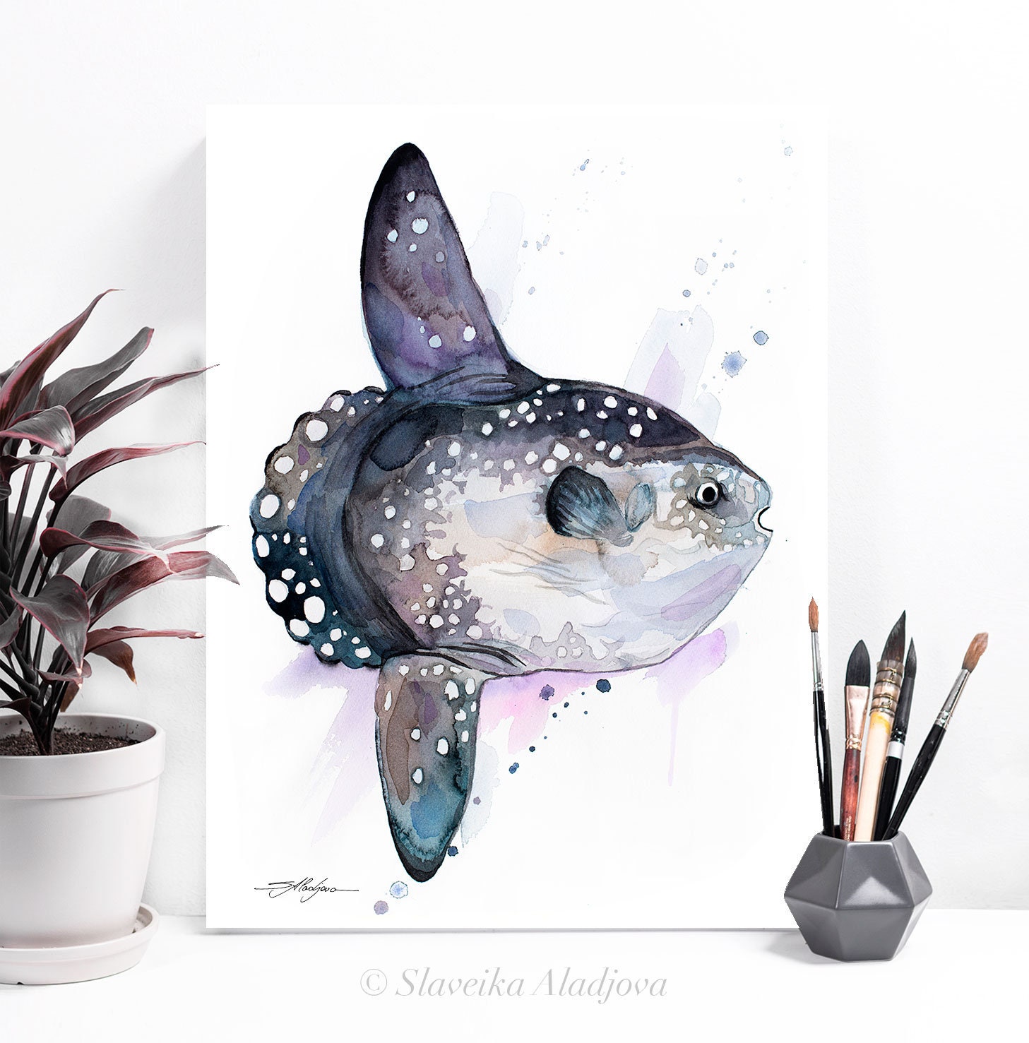Sunfish Mola Mola Ocean Sunfish Watercolor Painting Print by | Etsy