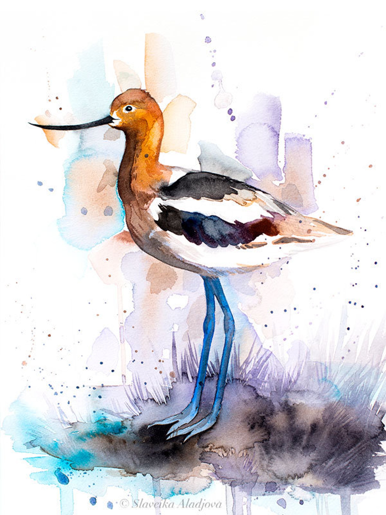 American Avocet Watercolor Painting Print by Slaveika - Etsy